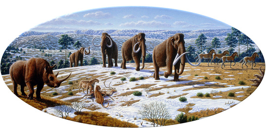 Megafauna and Ecosystem Function: from the Pleistocene to the ...