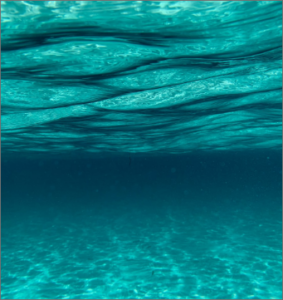 Home - Tropical Biology & Conservation | ATBC