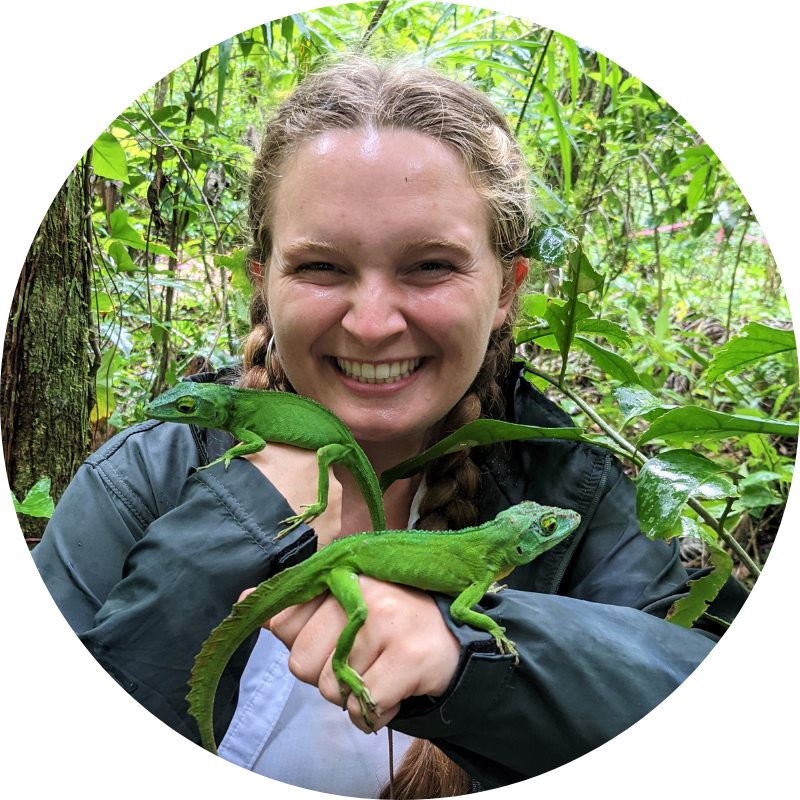 Grants and Awards - Tropical Biology & Conservation | ATBC